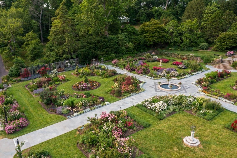 #90YearsofMorris: Rose Garden Reopening & History | Morris Arboretum & Gardens